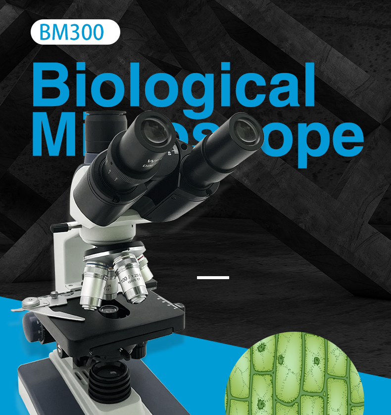 BM300 Biological Microscope - 深圳市晟视科技有限公司